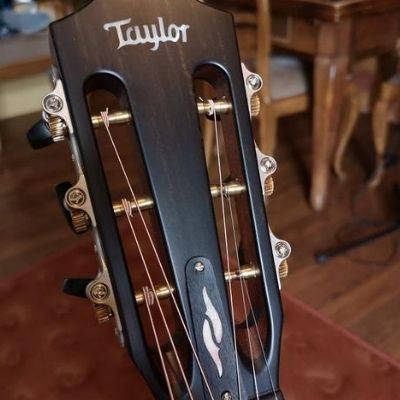 Home / Taylor Custom Parts